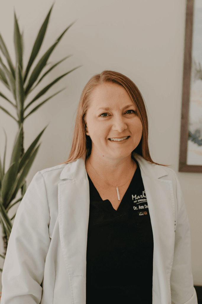 Ann Della Maggiore, DVM, DACVIM - MarQueen Pet Emergency & Specialty Group